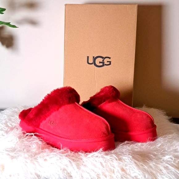 UGG | Shoes | Ugg Disquette Slipper New In Box | Poshmark
